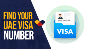 How To Find Your UAE Visa Number and UID Number 2024